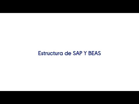 Conceptos de SAP & BEAS. | Dreampack